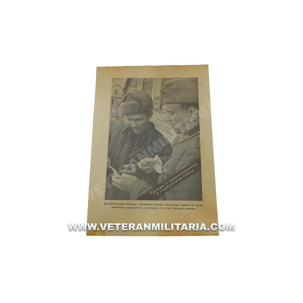 German Propaganda Leaflet Original 1