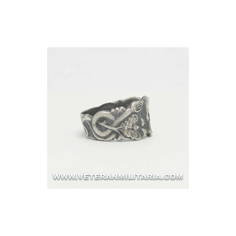 Ring Jäger Division