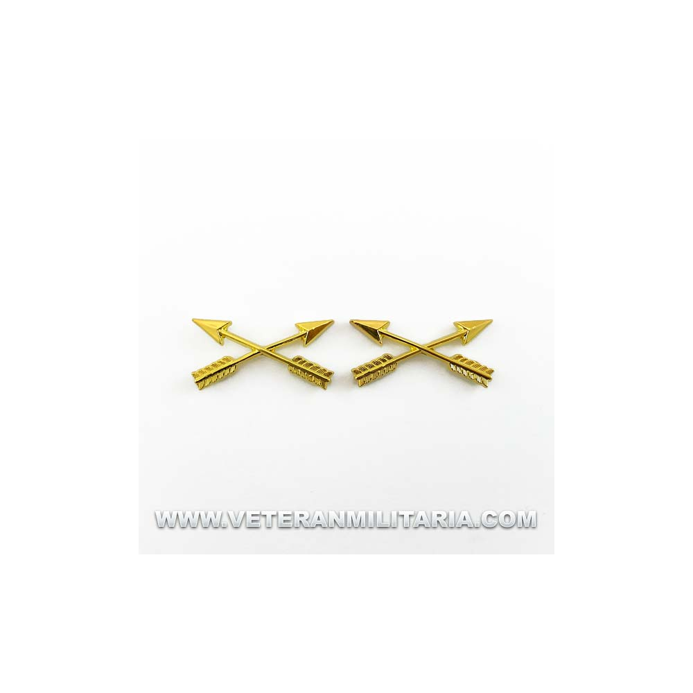 US Special Forces Branch Insignia - veteran militaria