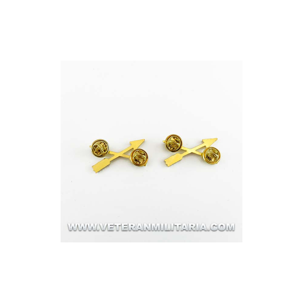 US Special Forces Branch Insignia - veteran militaria