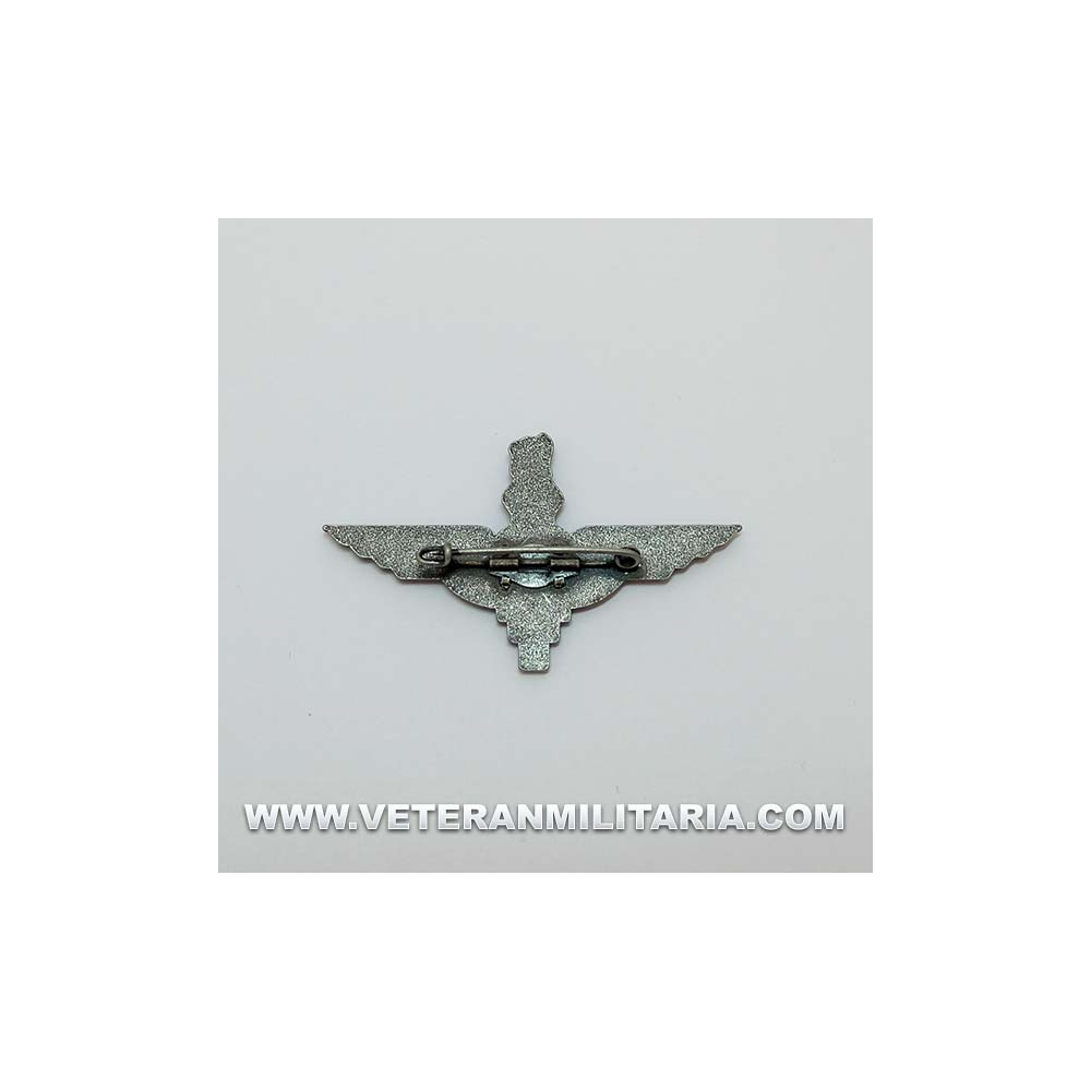 British Parachute Reg Badge